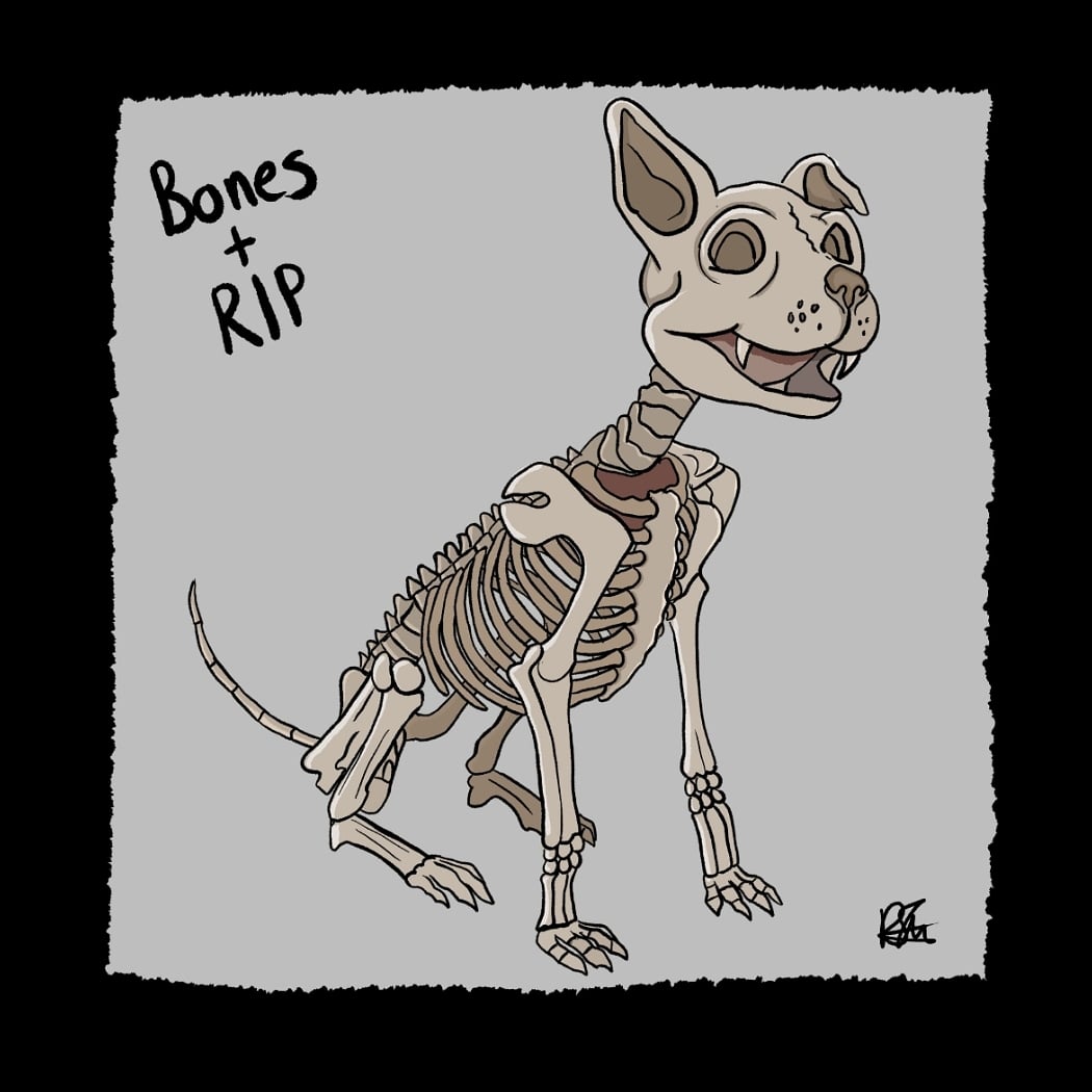 Halloween Dog Skeleton Drawing