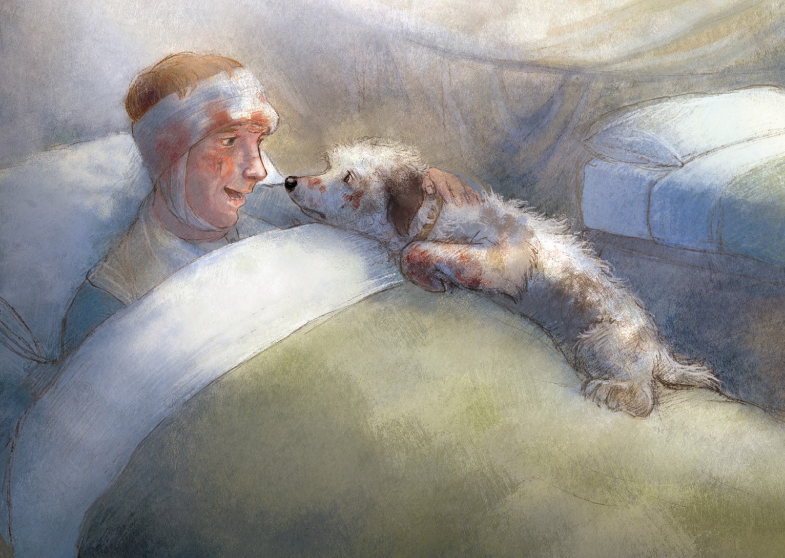 What Happened To Rags The Dog From Ww1