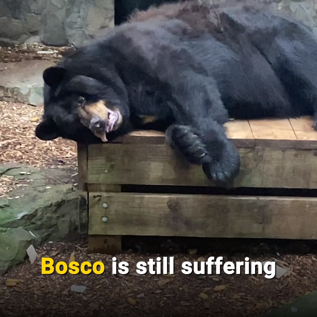 Sofia DeLuca (@Sofiavdeluca) | Twitter