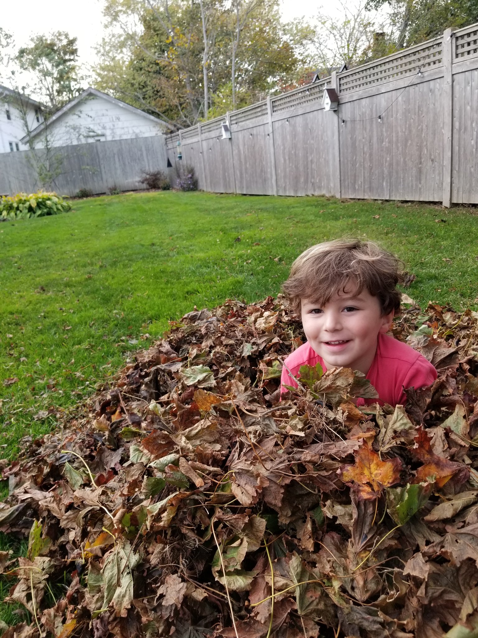 Real Gnome Sightings