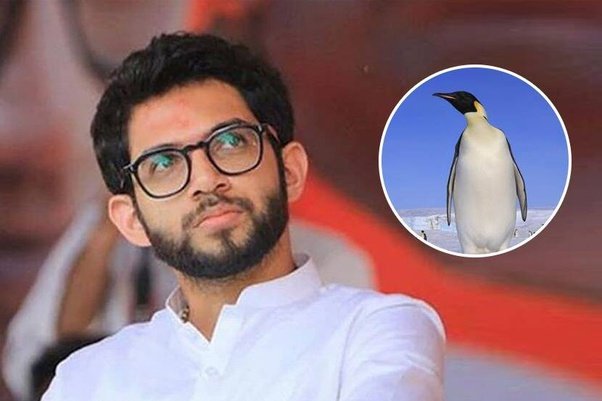 Pankaj Rathi (@PankajR40055889) | Twitter