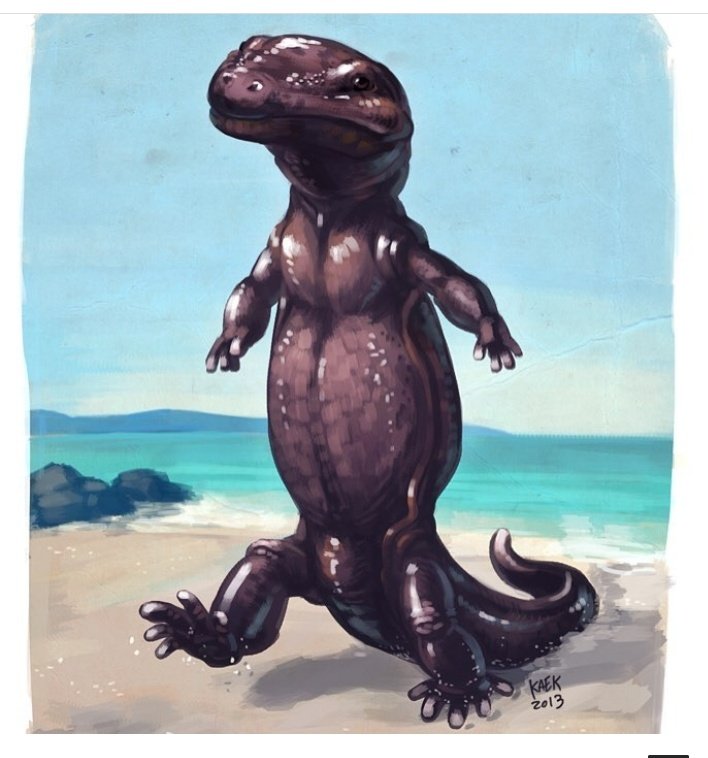 Kaek Mcbeardy on Twitter: "2013 Andrias scheuchzeri vs 2020 Andrias scheuchzeri illustrations ...