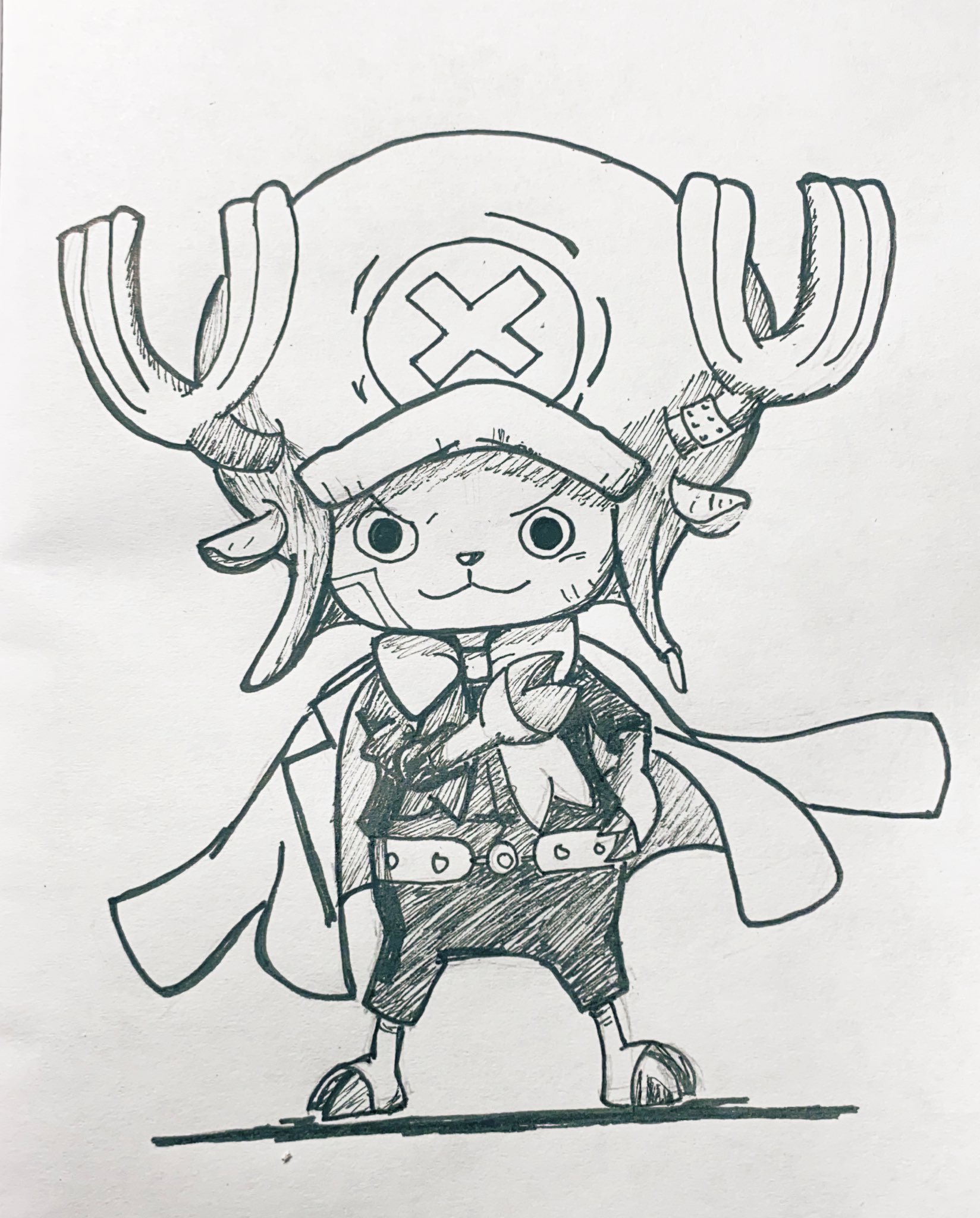 One Piece Tony Tony Chopper Drawing Steemit