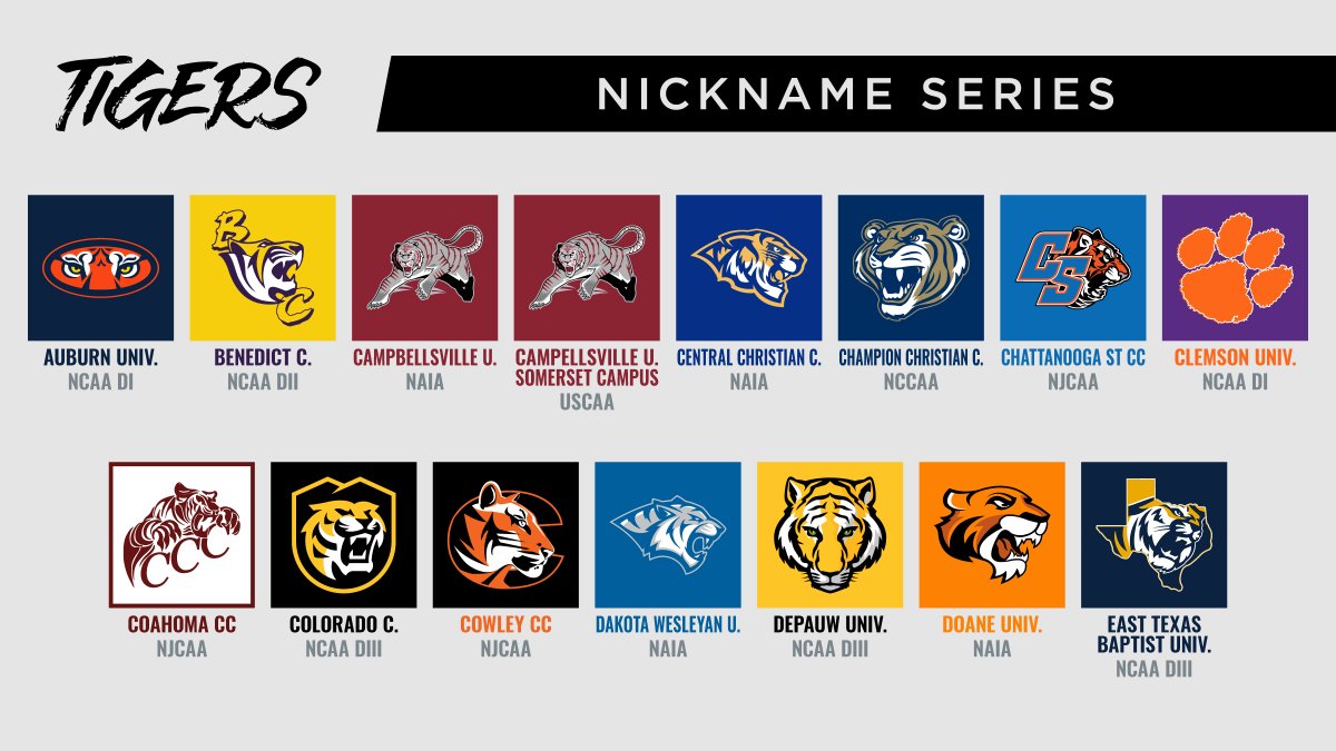 Tiger Mascot College