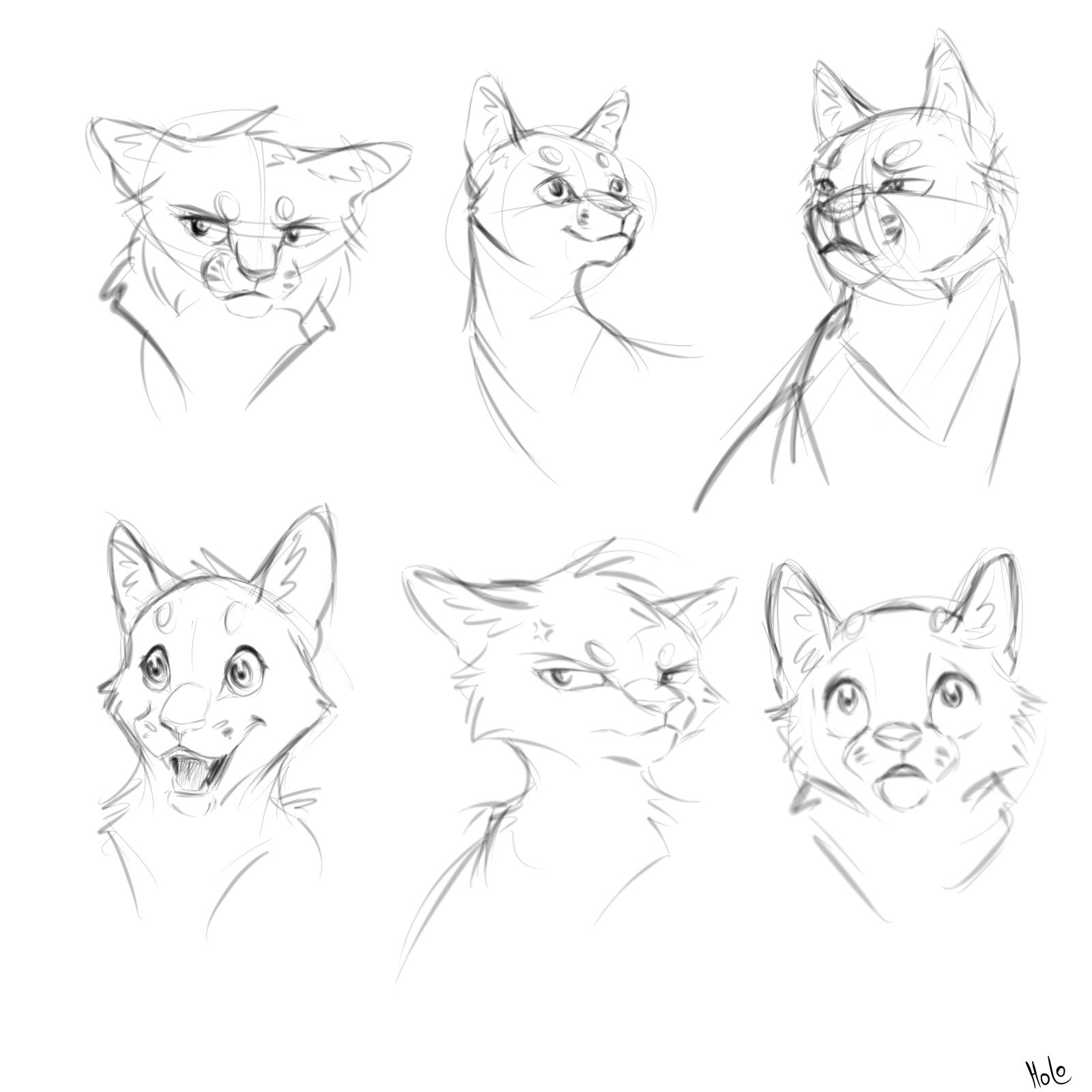 Cat Face Side View Drawing