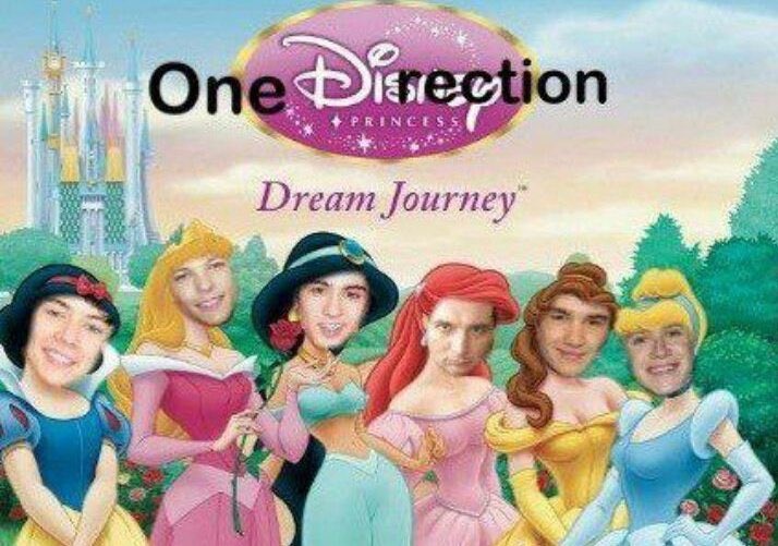 One Direction Disney Princesses