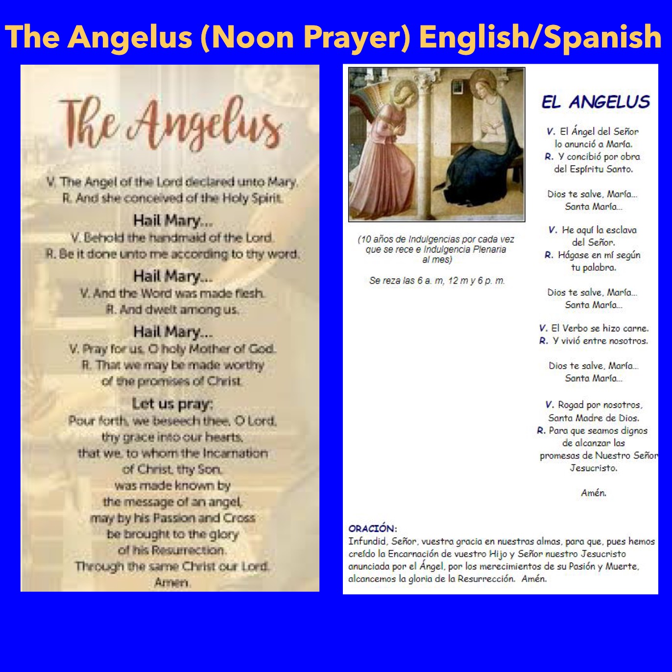 Angelus Prayer Pdf Angelus | TPT