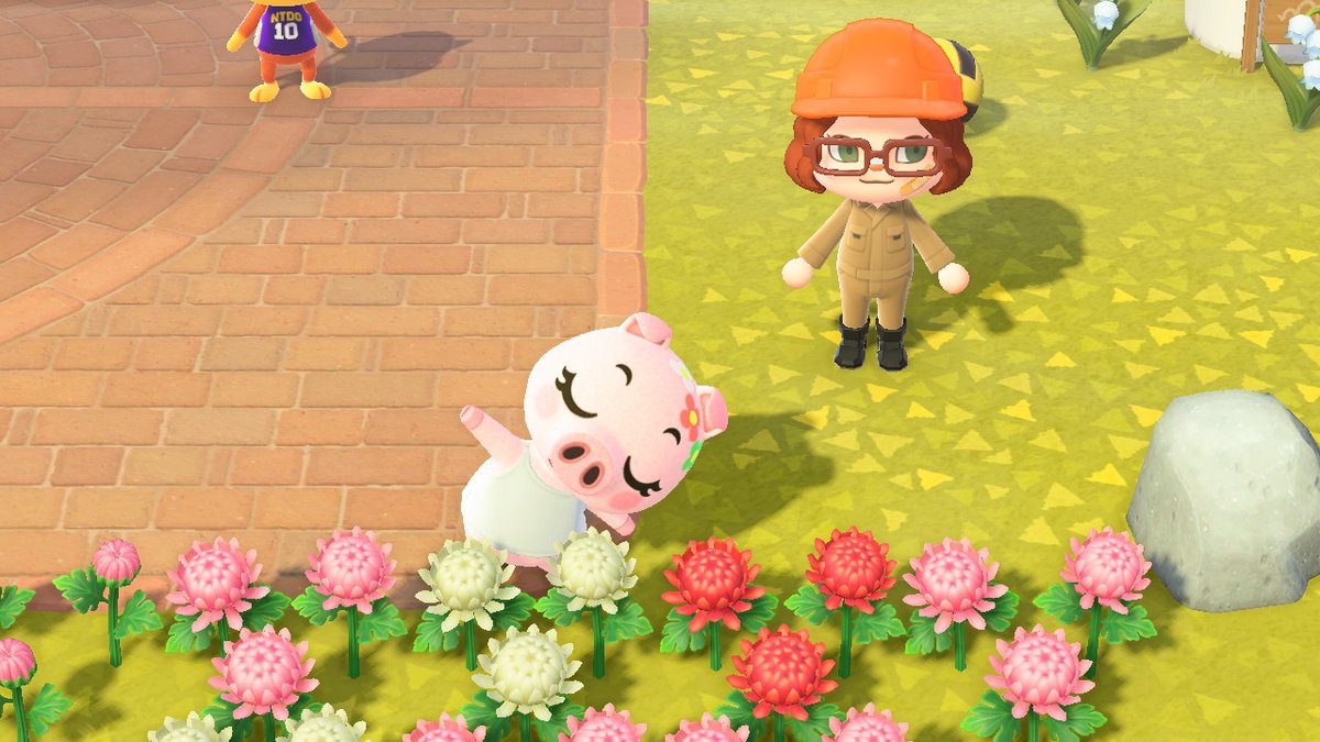 Zelle | ACNH | ACPC (@Zelle_Itomori) | Twitter