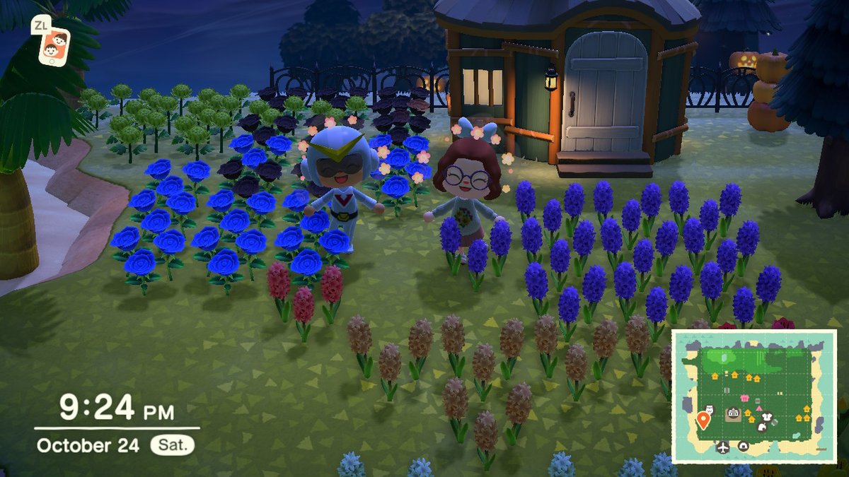 Zelle | ACNH | ACPC (@Zelle_Itomori) | Twitter