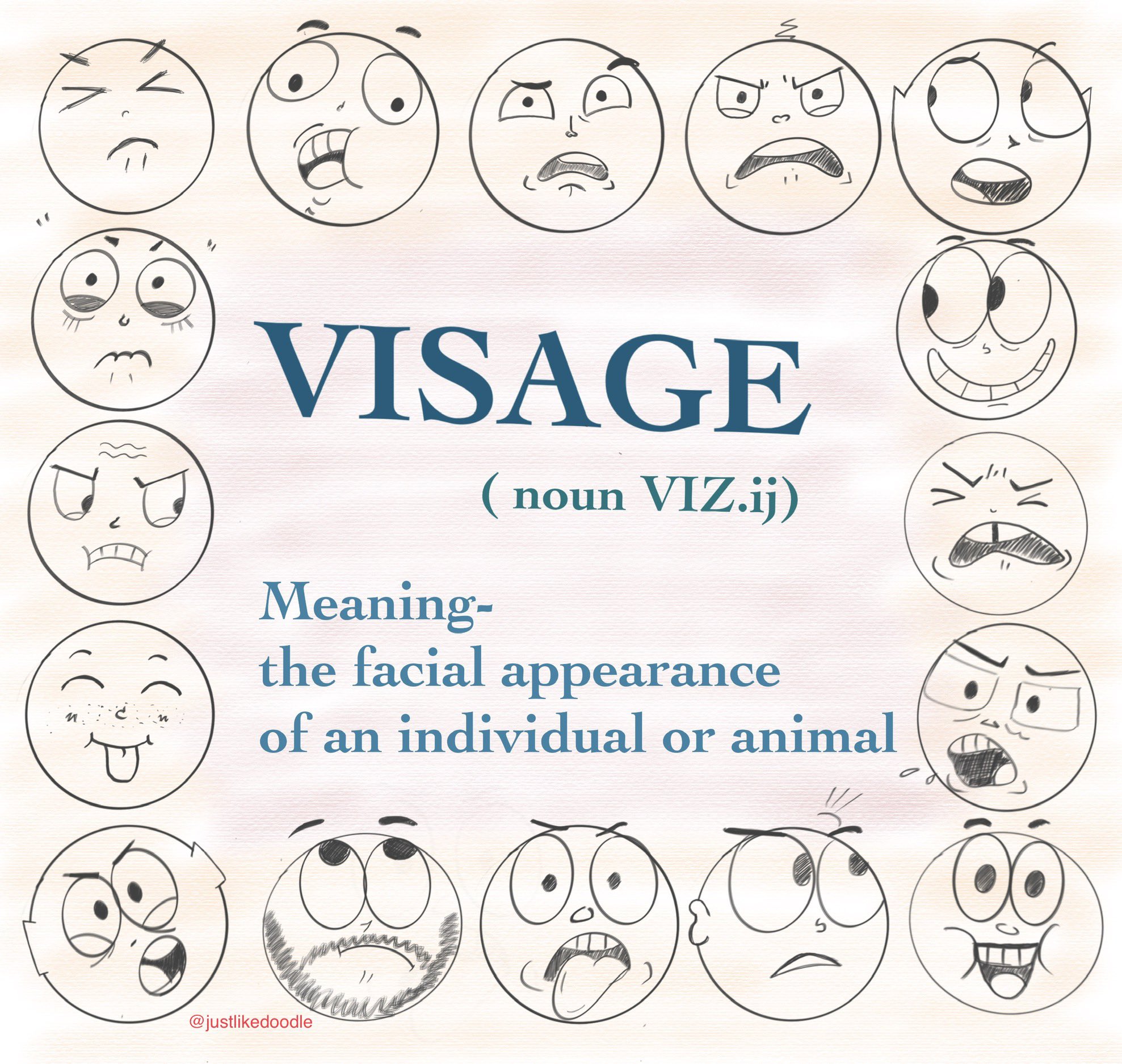Visage Meaning VISAGE Consortium