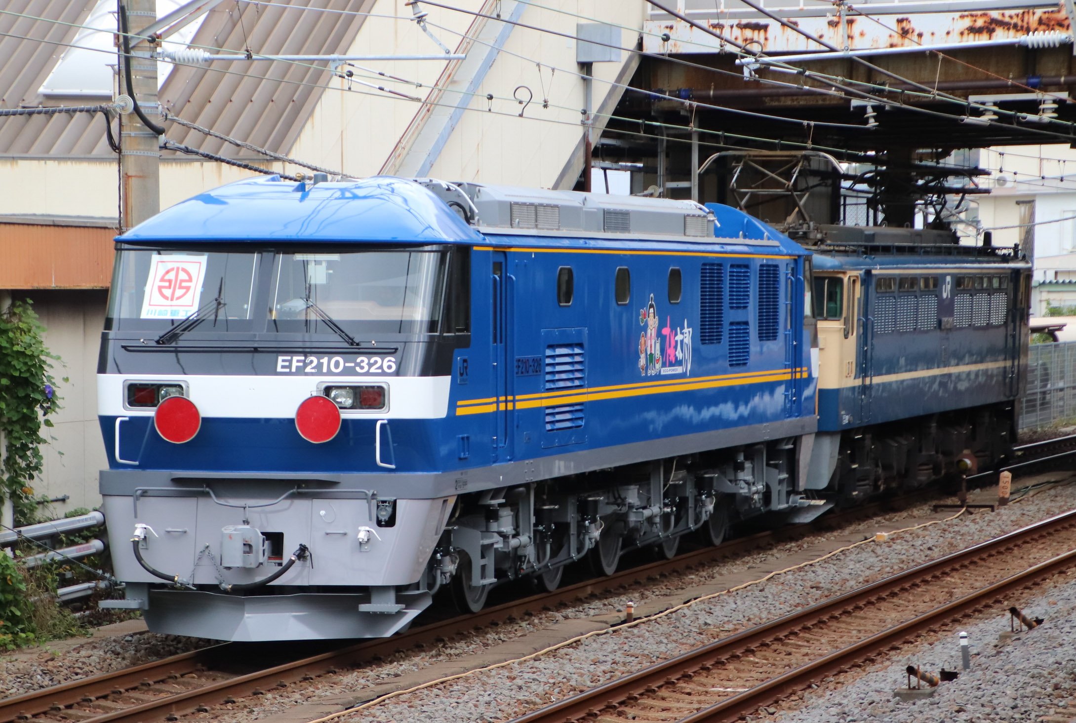 🌸ztq_y🇯🇵⛩️🇨🇿🇸🇰🇵🇱🇳🇱🇦🇹🇱🇻🇪🇪🇭🇺🇷🇴 on Twitter: "EF65 2101 + EF210-326 甲種 大船 8:53上りました。 その前に レアな塗装 原色 ...