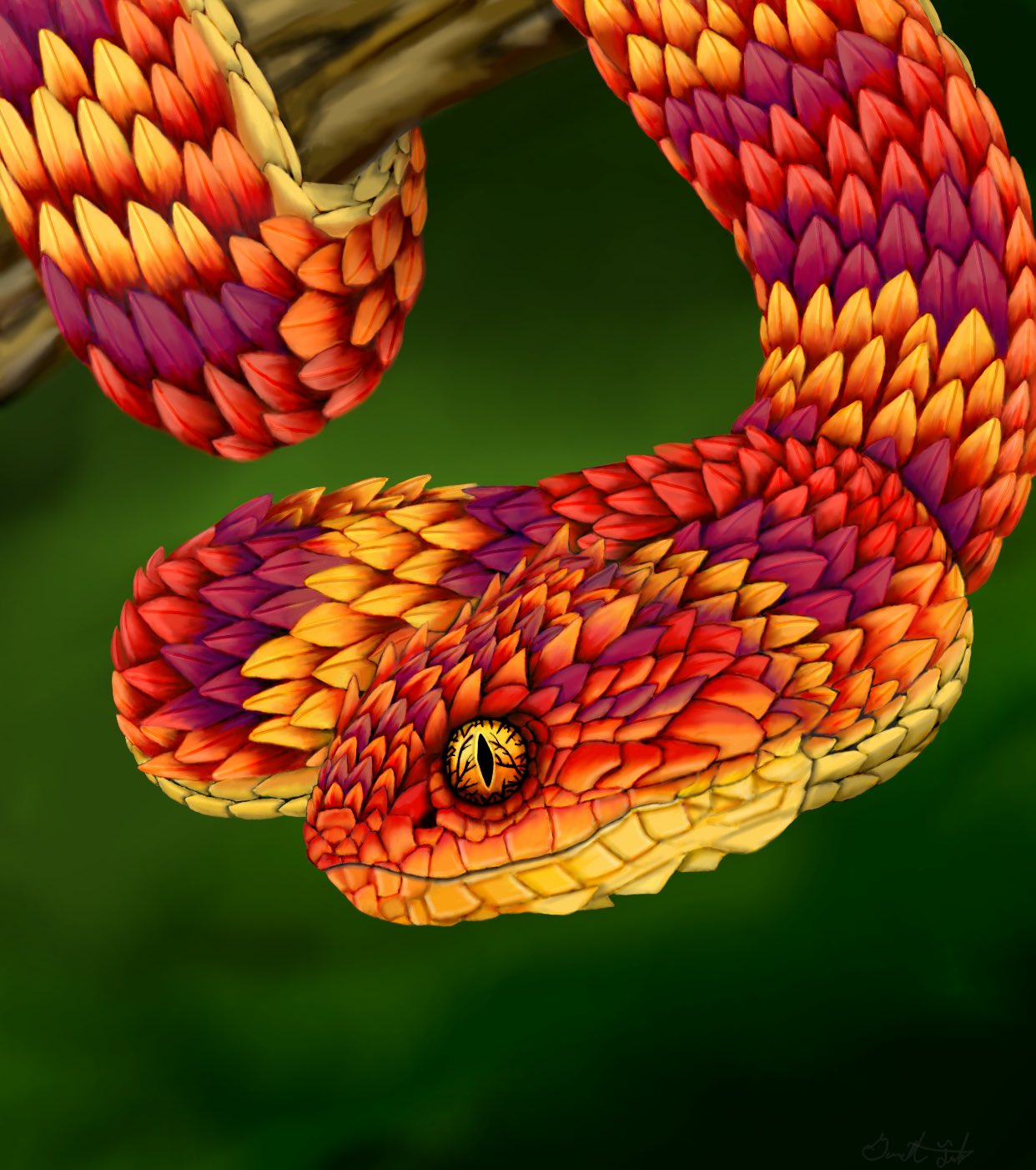Bush Viper Wallpaper