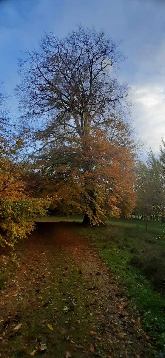 New Trees Feedback | TreeTime Edinburgh : TreeTime Edinburgh