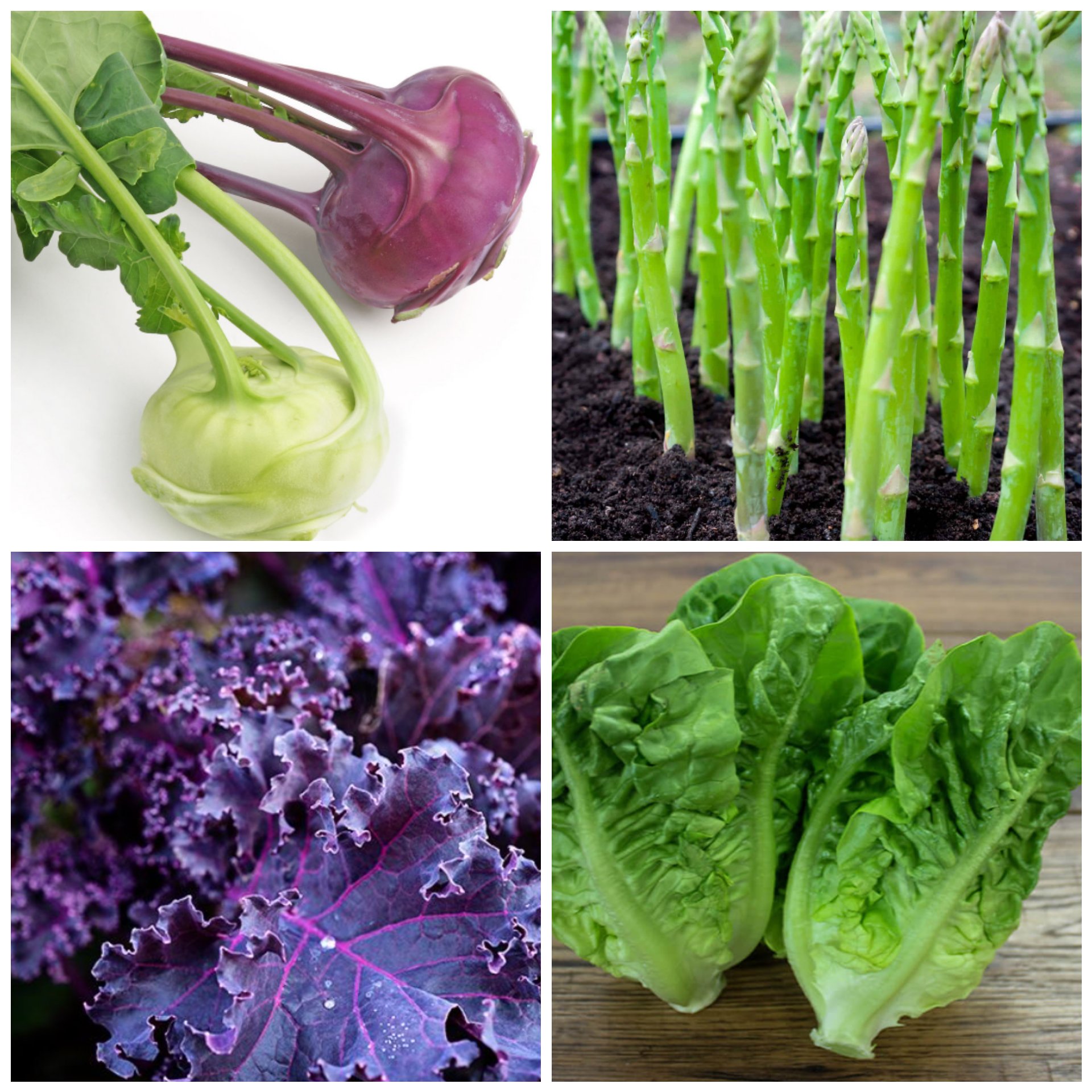 Exotic Vegetables List