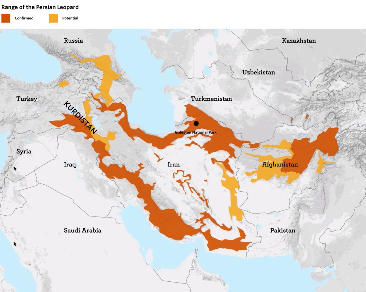 Persian Leopard Habitat