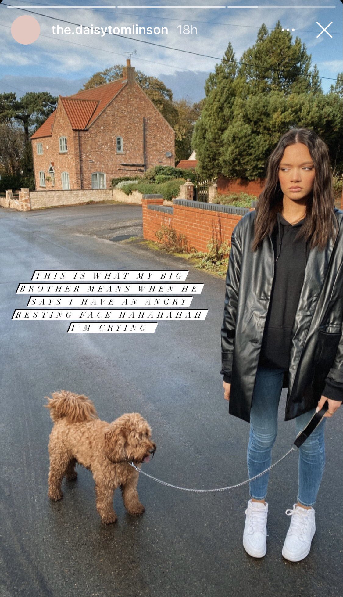 Louis Tomlinson Puppy Dog Face