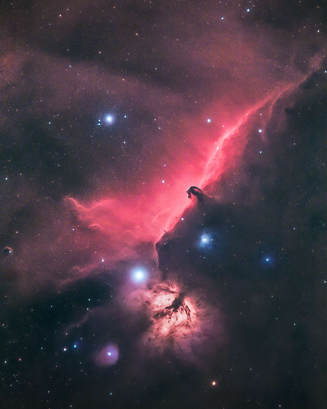 Horsehead Nebula In Orion