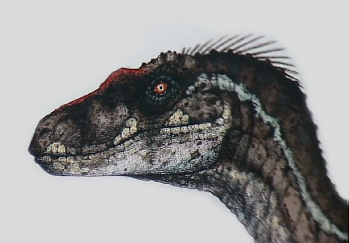 Jurassic Park Raptor Concept Art