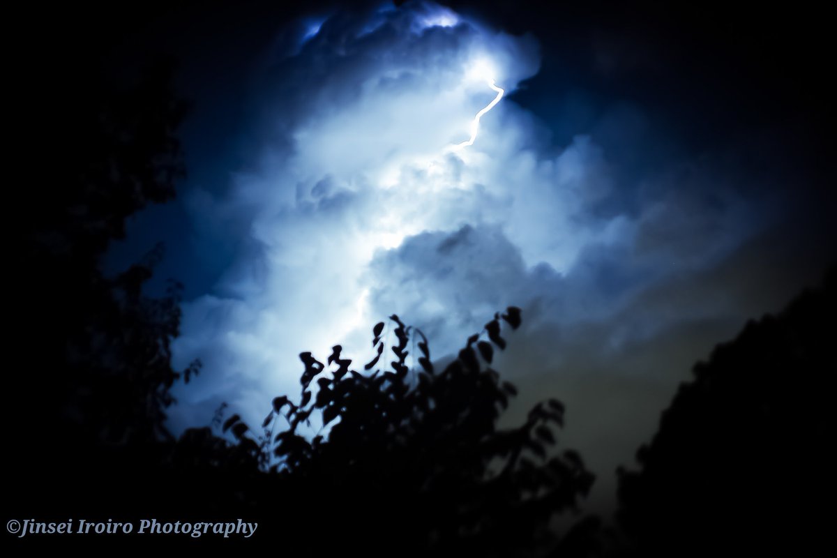 Jinsei Iroiro Photography (@JinseiIroiroPh1) | Twitter