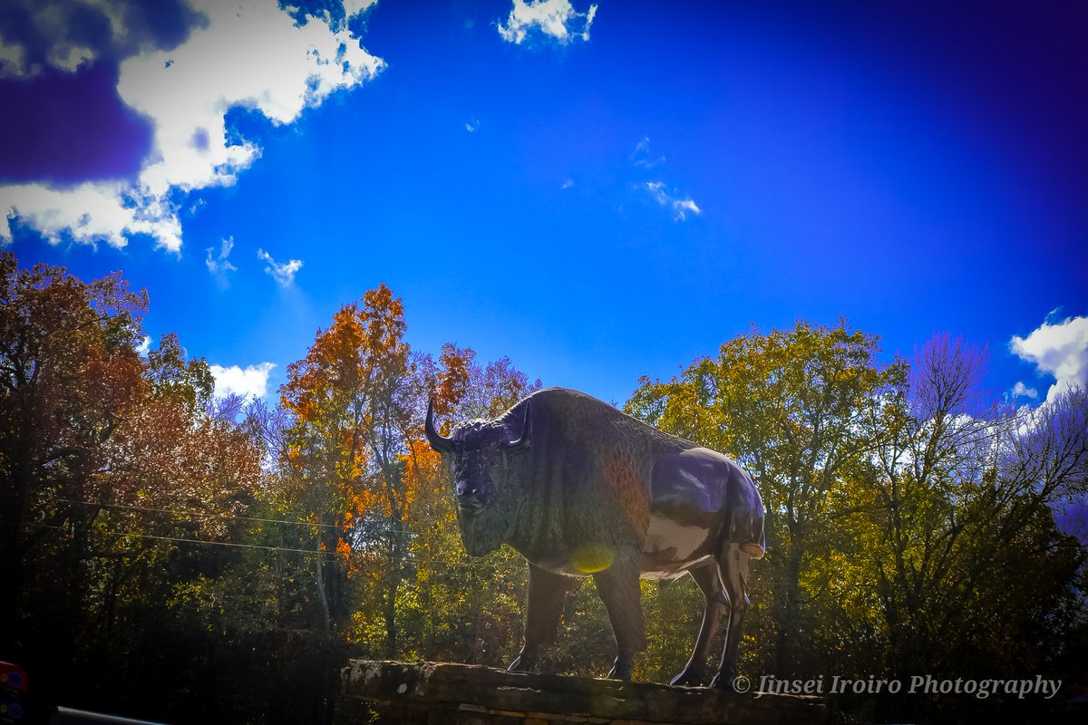 Jinsei Iroiro Photography (@JinseiIroiroPh1) | Twitter