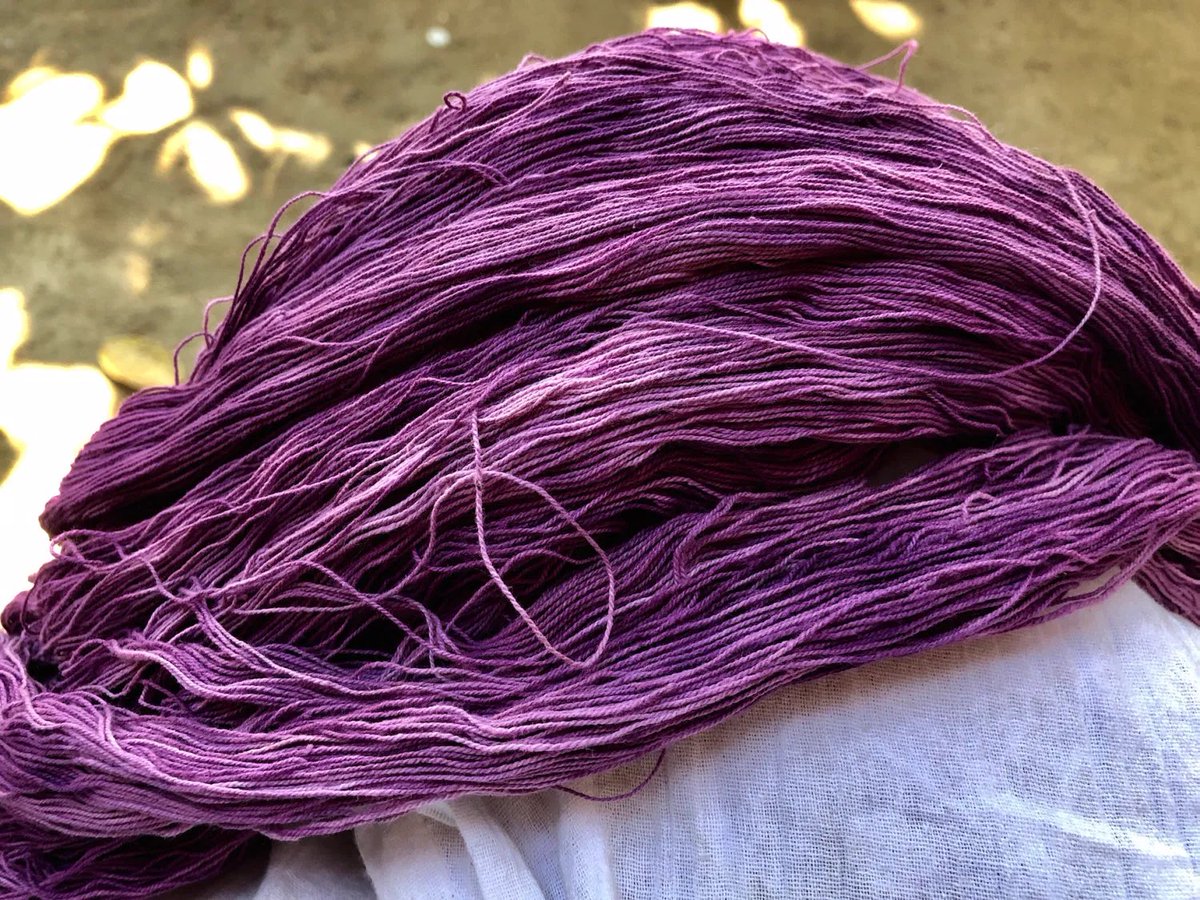 Phoenician Purple Dye Cloth