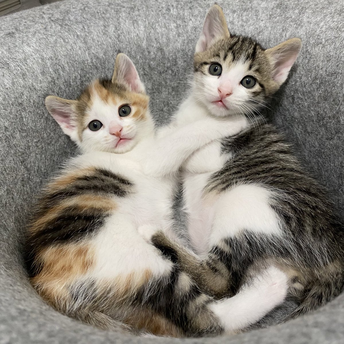 은서 (@Eunseo119) | Twitter