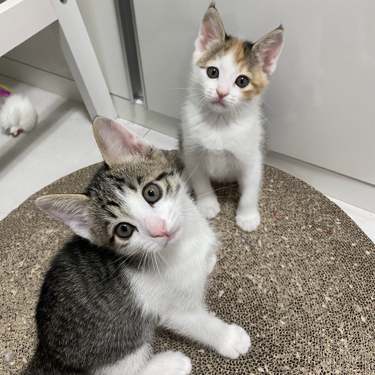 은서 (@Eunseo119) | Twitter