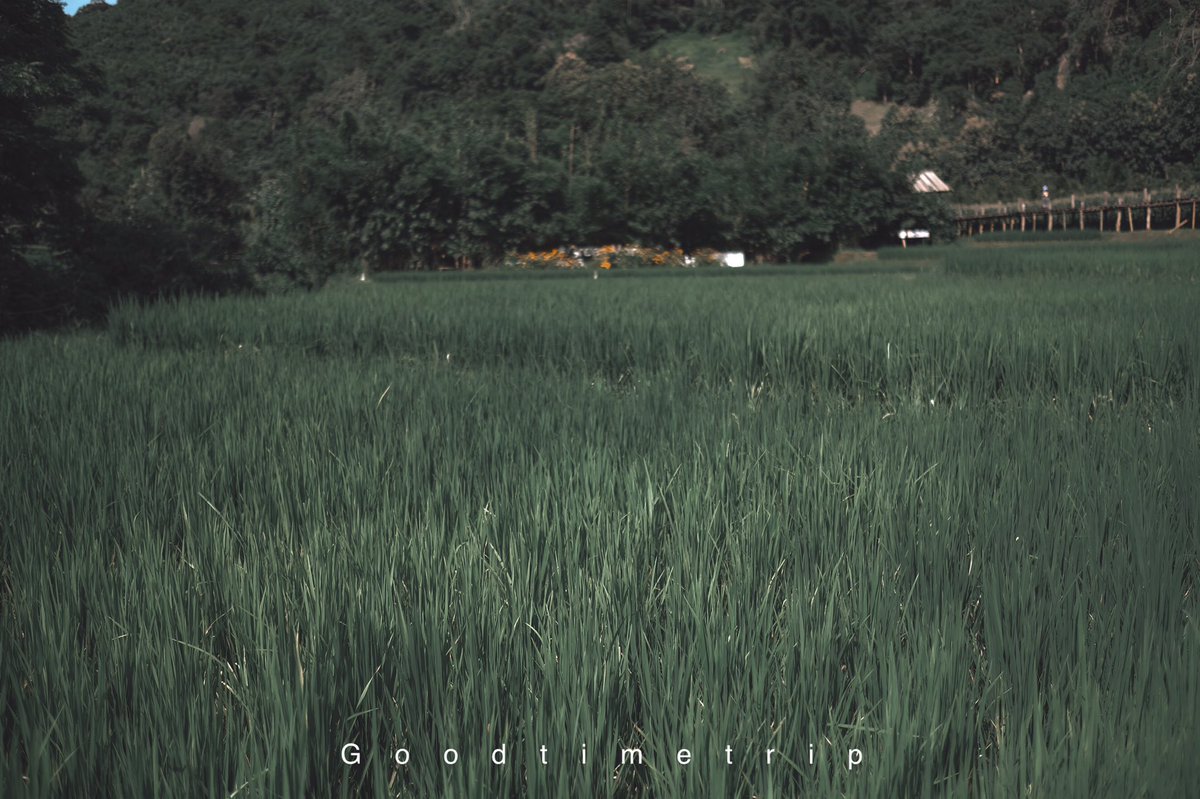 เที่ยวได้เที่ยวดี (@goodtimetrip) | Twitter