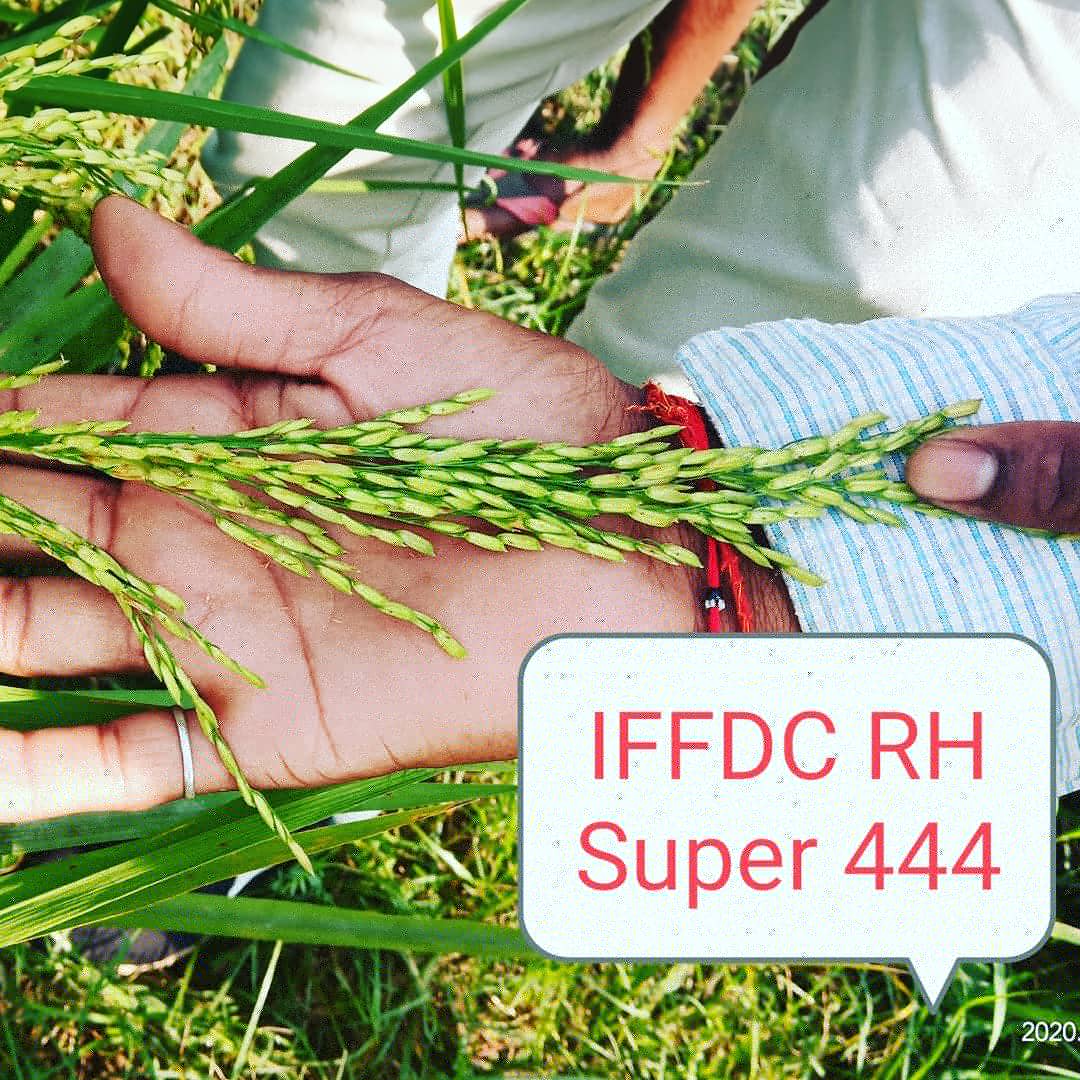 Subrata Patra IFFDC(#WorkForRuralLivelihood) (@Subrata35948014) | Twitter