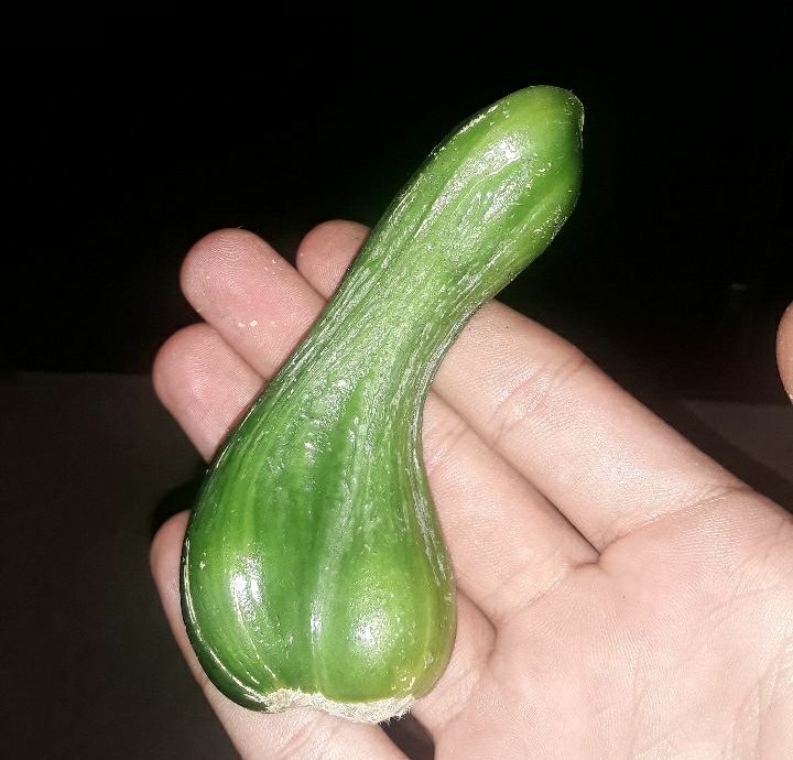 POURIYA (@pouriya_rf) | Twitter