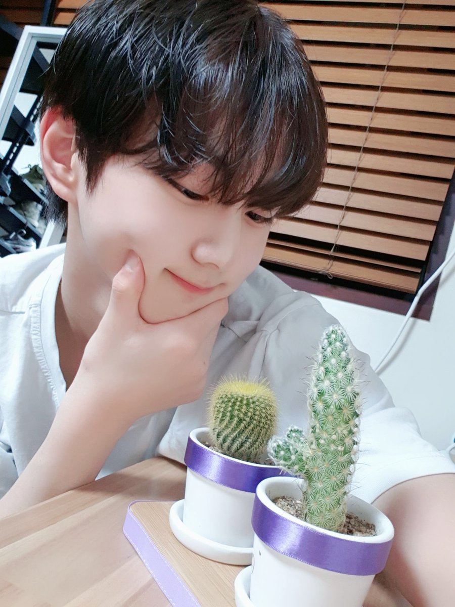 absolutely heartbreaking, i send my prayers to all cactus families that ...