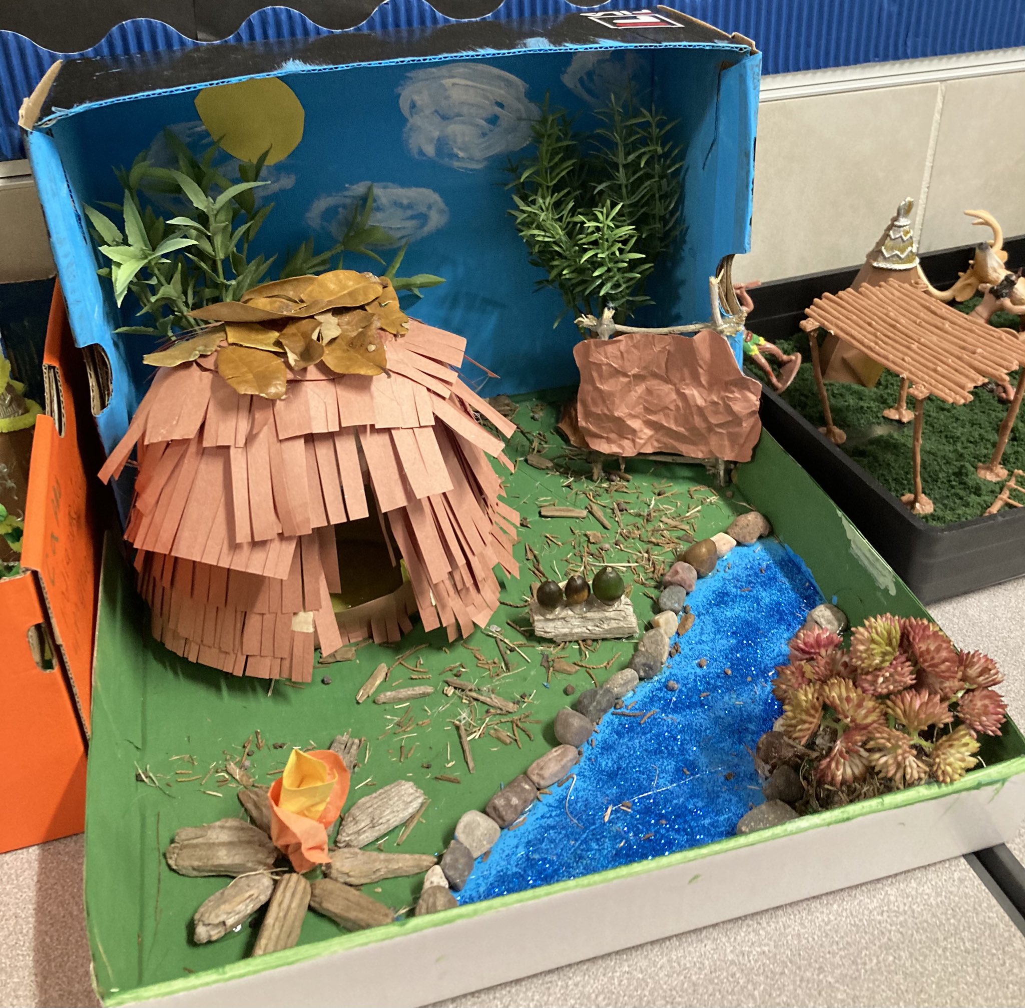 Mrs.Coalter's Class on Twitter: "4th grade Native American dioramas ...