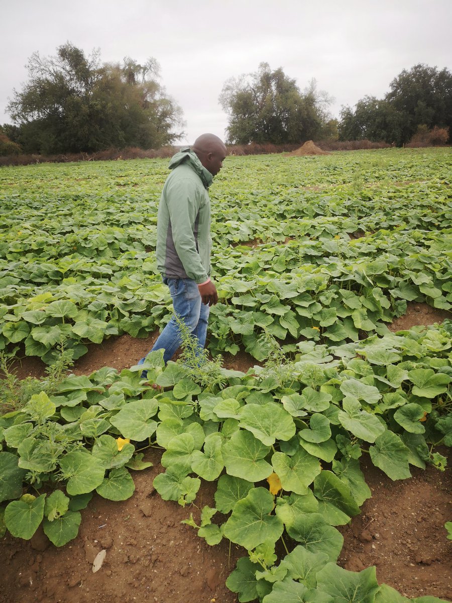 Justice Ndivhuwo mudau (@Justice19169866) | Twitter