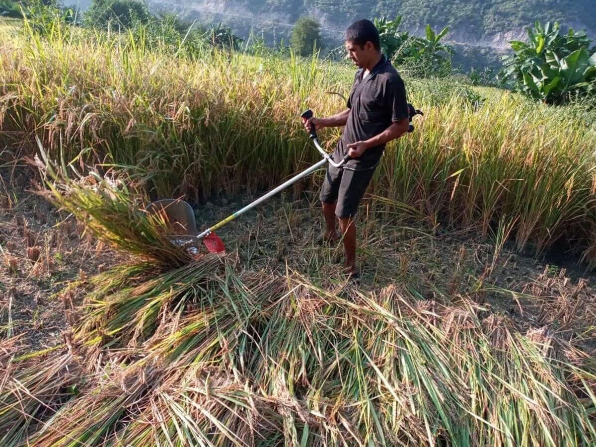 Modern Agriculture Tools