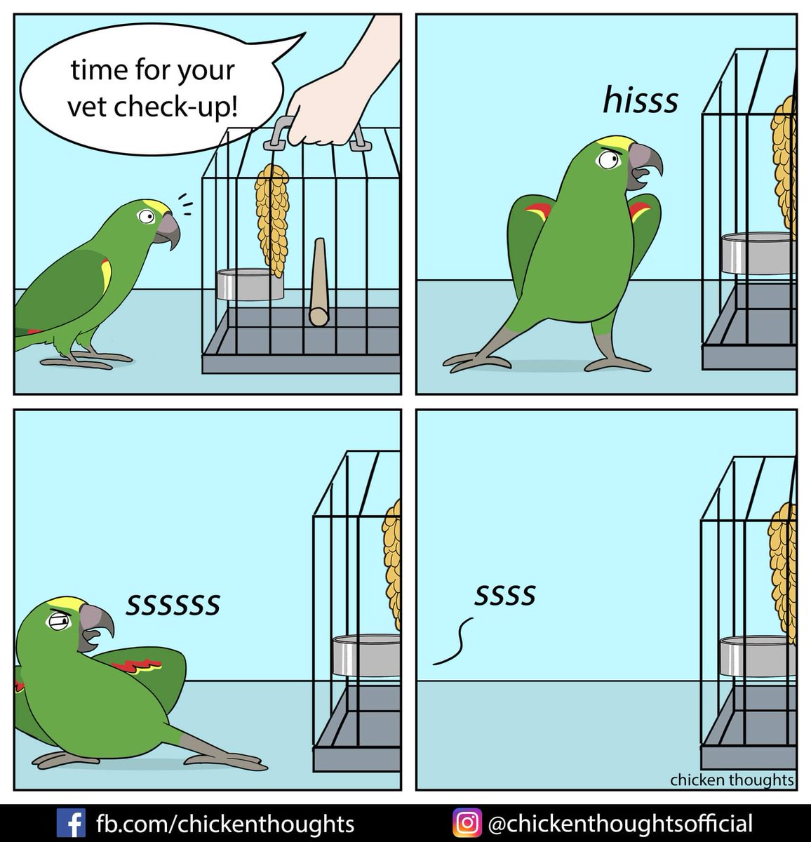 「Day 27: Cockatoo / Mirror #birbtober #comictober2020 --- Th」Chicken ...