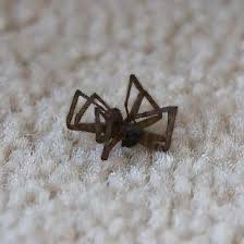 Kaustuv Ray (@kausray) | Twitter