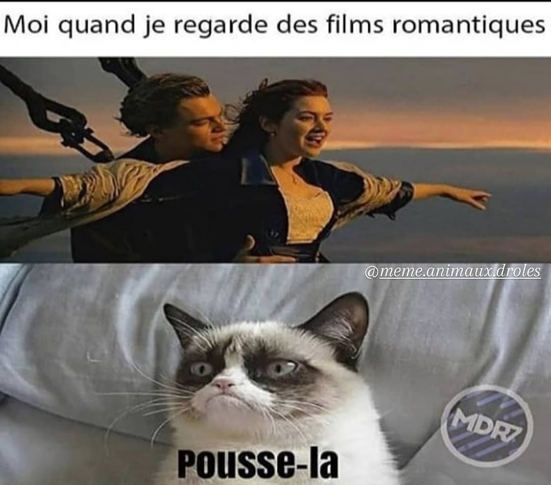 Grumpy Cat Captions Titanic