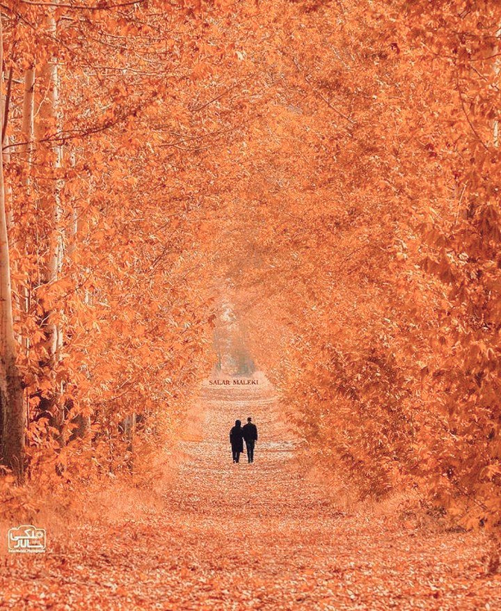 POURIYA (@pouriya_rf) | Twitter