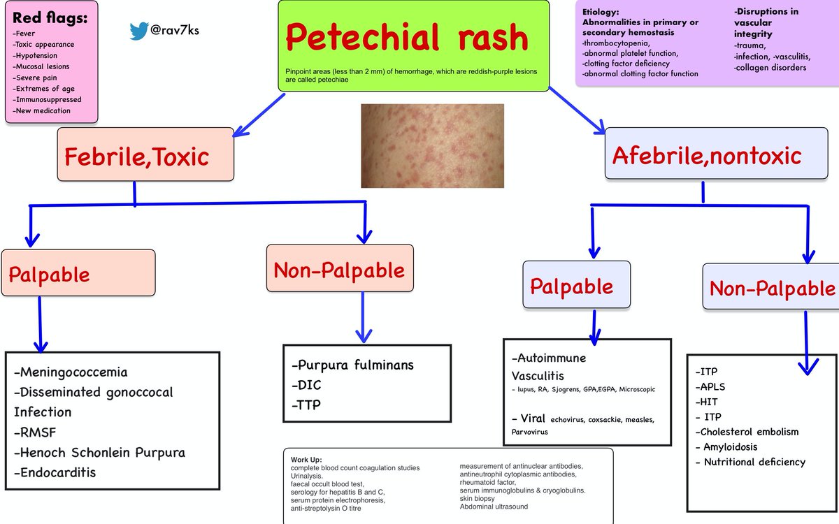 Purpura Vs Petechiae
