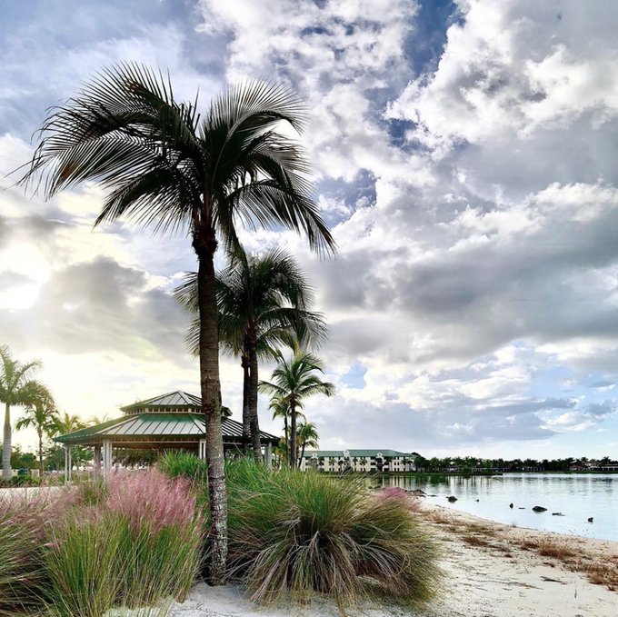 Florida Gulf Coast University | Home