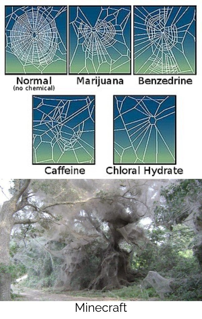 Minecraft Spider Meme