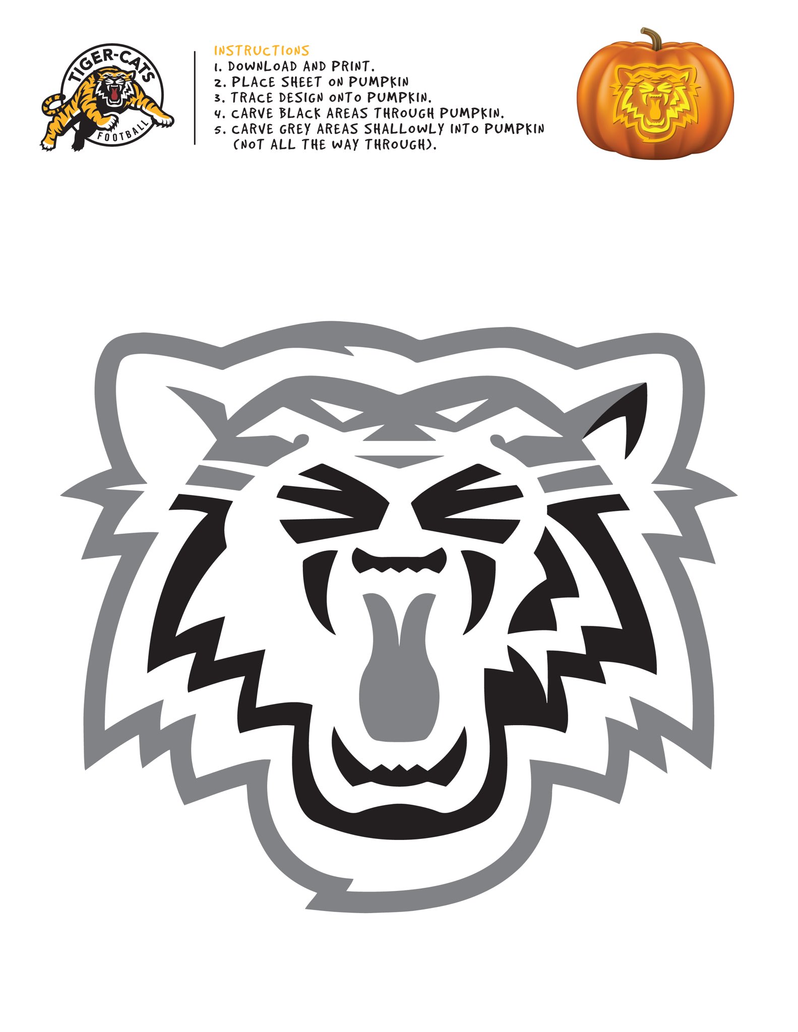 Hamilton Ticats Logo