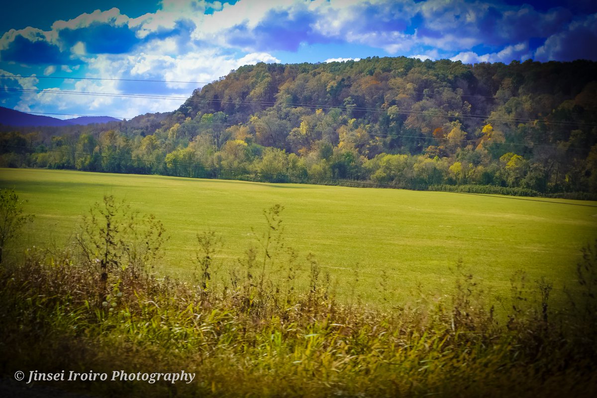 Jinsei Iroiro Photography (@JinseiIroiroPh1) | Twitter