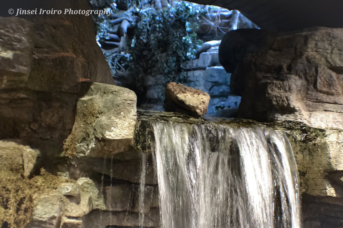 Jinsei Iroiro Photography (@JinseiIroiroPh1) | Twitter