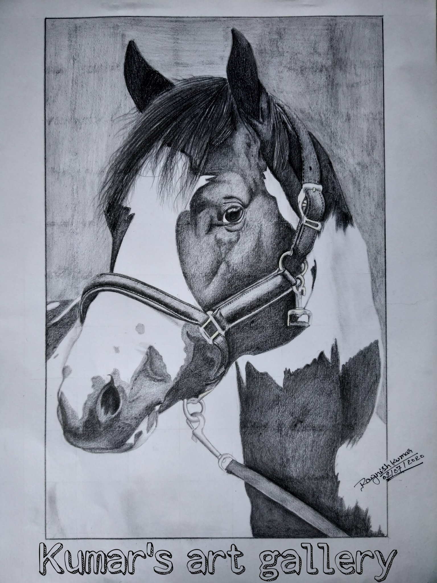 How To Draw A Realistic Horse How To Draw A Realistic Horse