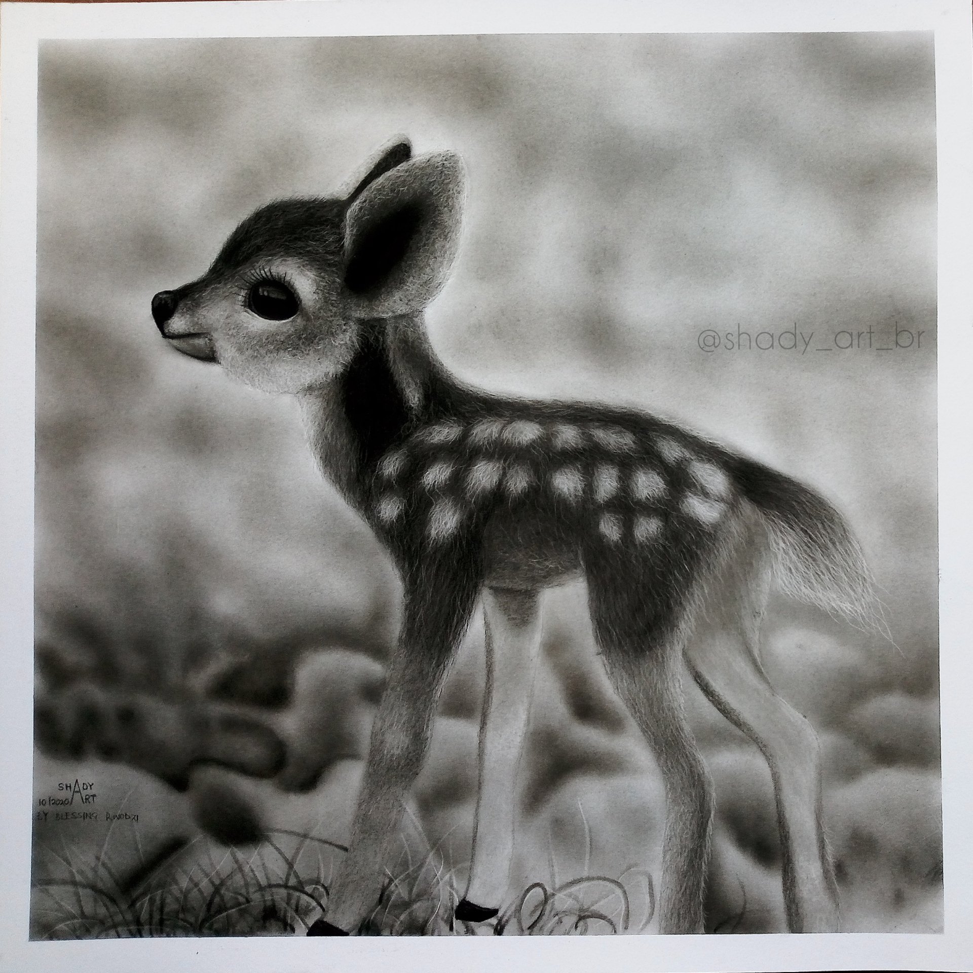 Baby Deer Drawings In Pencil