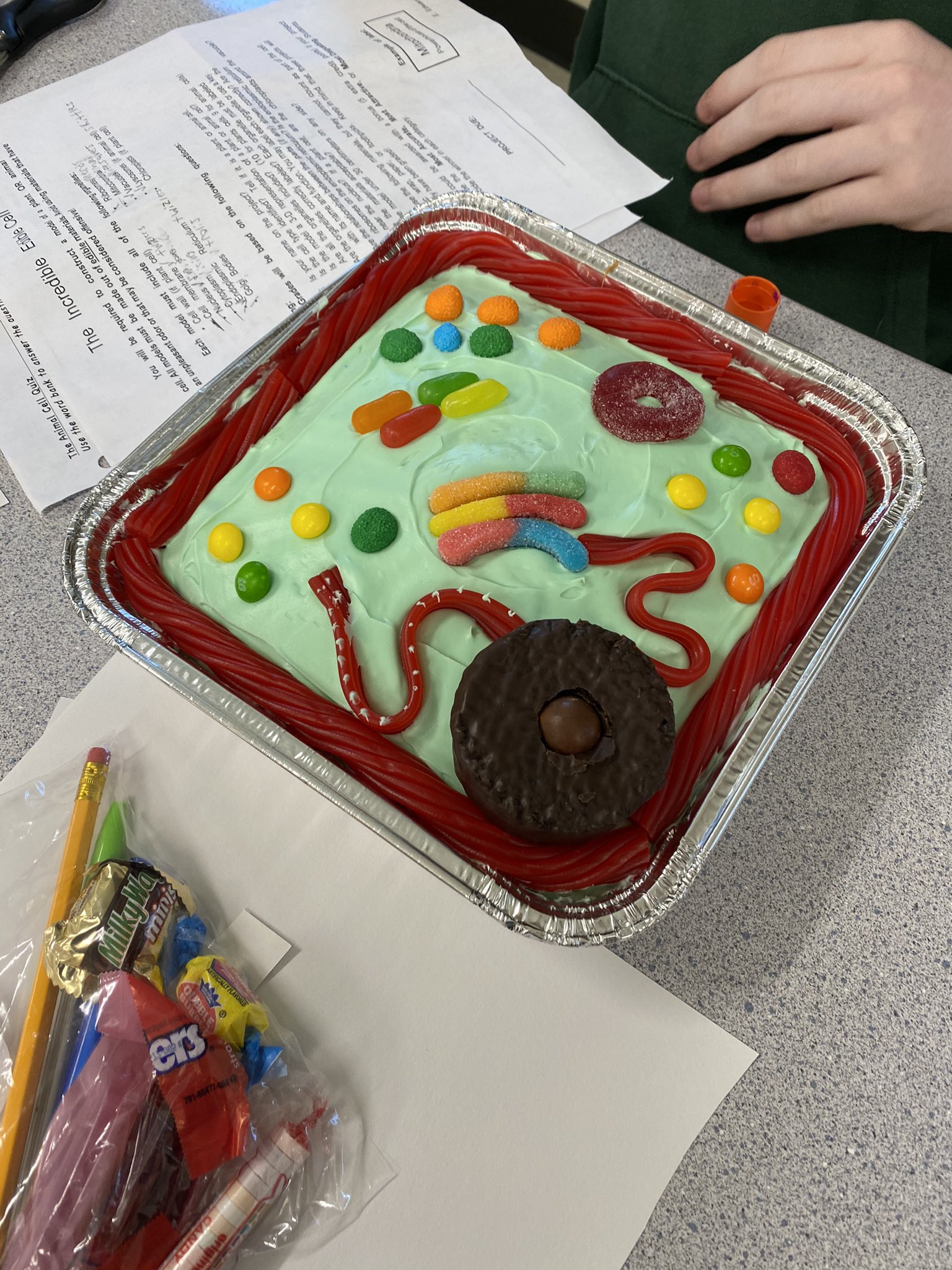 Animal Cell Project Ideas
