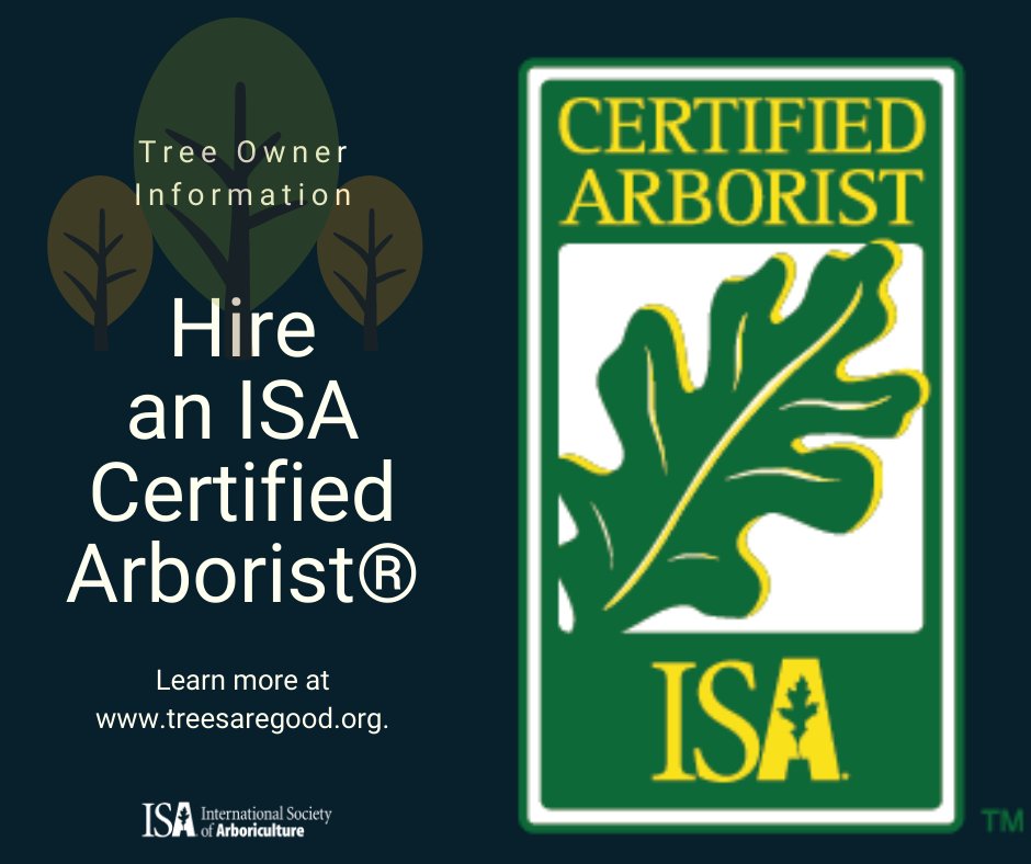 Certified Arborist Logo