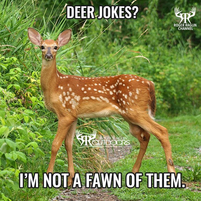 Swiggity Swooty Deer Without Words