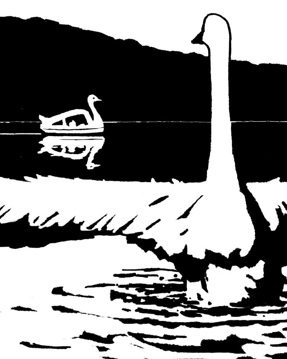 「白鳥 」koki tsubomoto | 坪本幸樹の漫画